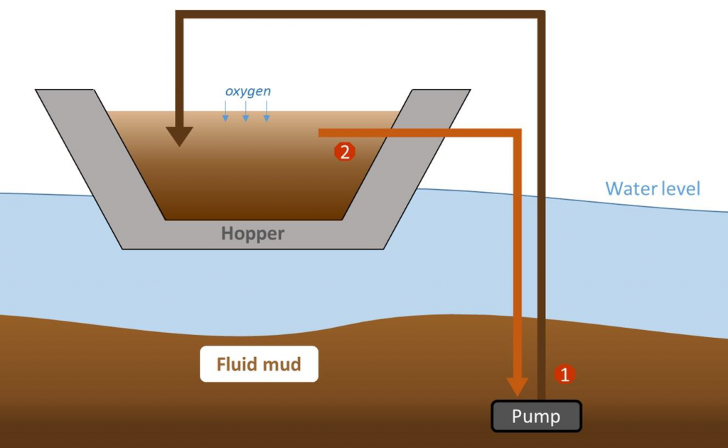 Marine bioremediation of port sediment - Semaso